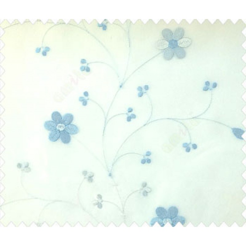 Beautiful daisy flower blue white color oval shaped flower buds ...